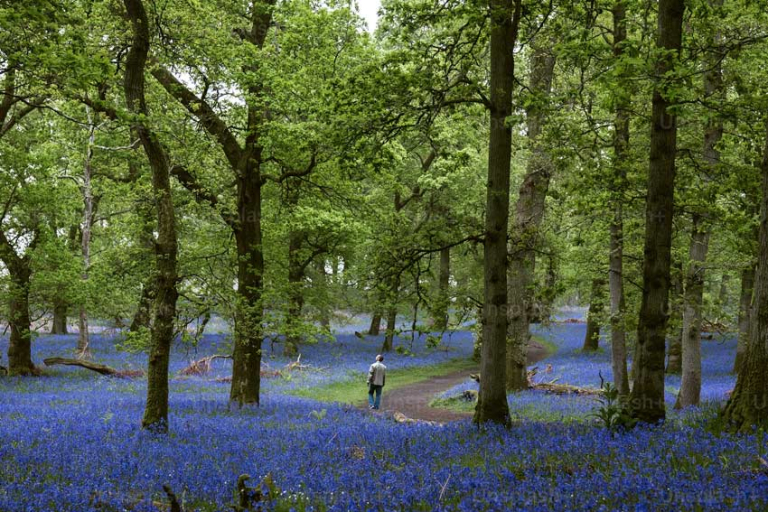 Weather in Scotland in March - Big Sky Campers - See Scotland in Spring